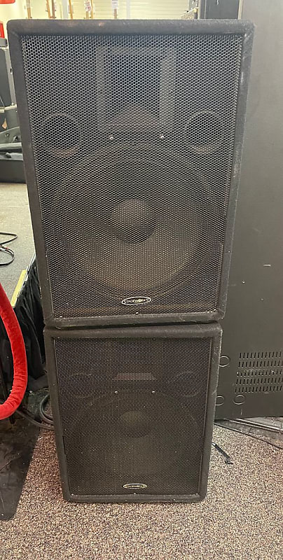 Stageworks VP15 Passive Speaker (Springfield, NJ) | Reverb