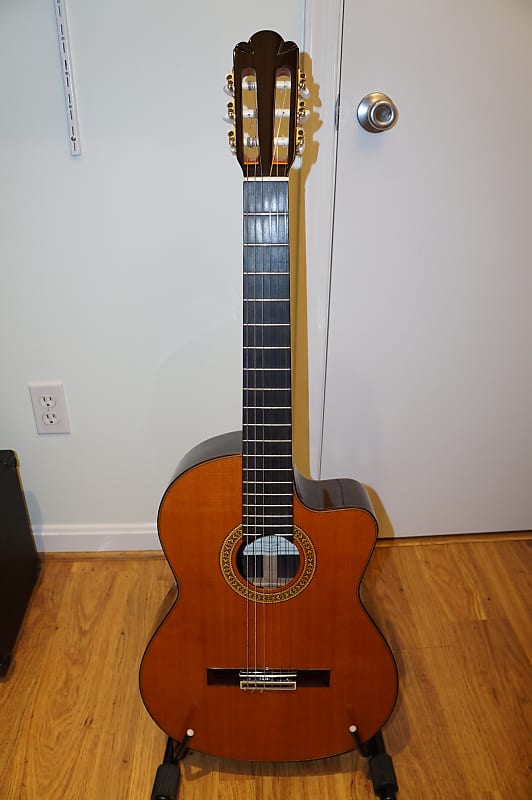 Pavan TP-30 AC 2010 Classical Guitar with L.R. Baggs pickup, | Reverb