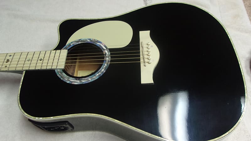 Excellent Estaban VL 100 Vintage Legacy Master Class Acoustic | Reverb