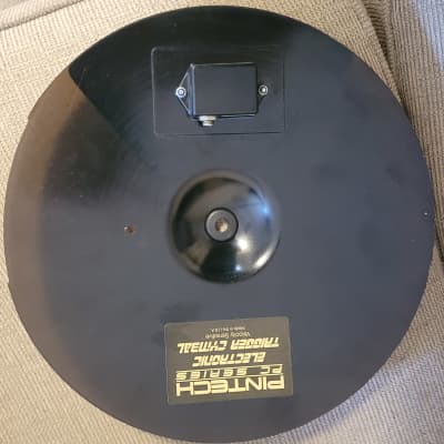 Pintech 14" Cymbal Trigger Pads - 2 pack | Reverb