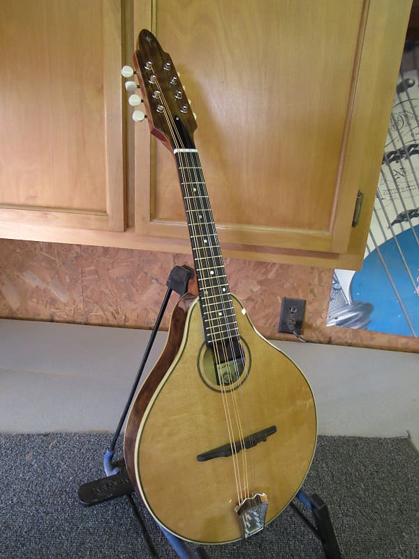 Beard Celtic Mandolin | Reverb