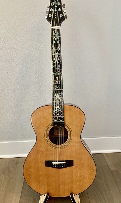 Harvey Leach Arctos folding guitar 2015 - Nitro gloss | Reverb