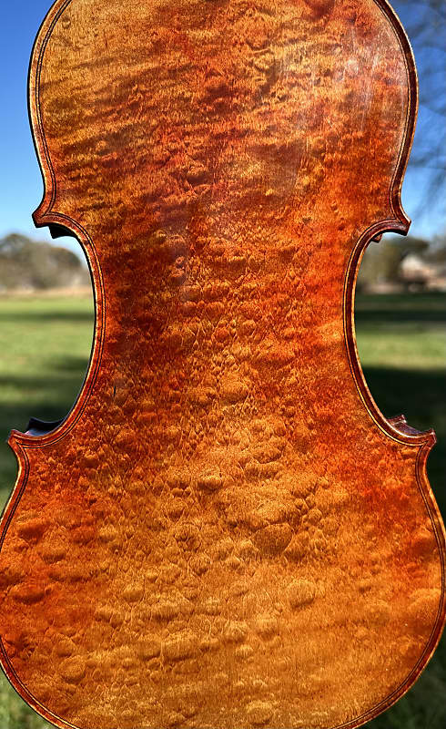 Unbelievable Waterfall Shell Maple Handmade 5-String Violin | Reverb