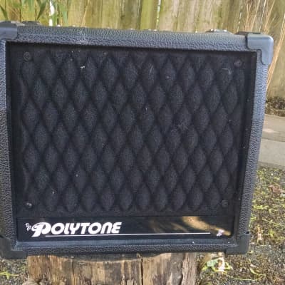 Polytone Mega Brute mid-90s - Black | Reverb