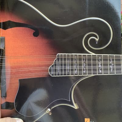 Hal Leonard Basic Guitar Adjustments & Setups by John | Reverb