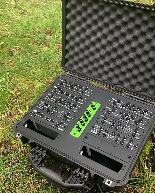 Burns Omega Model 13 Slot Case, Black, for Synergy Randall | Reverb