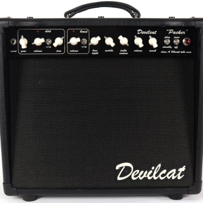 Devilcat Packer Guitar Amplifier 30W 1x12" Tube Combo w/ | Reverb