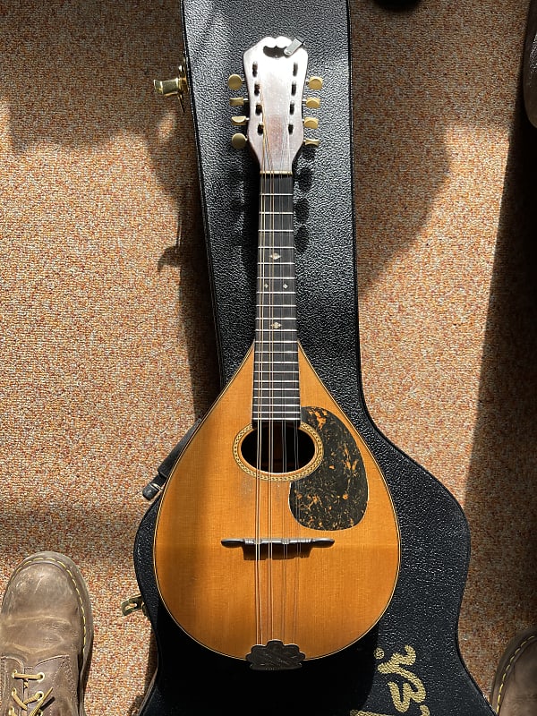 Martin Mandolin Style B 1917 | Reverb