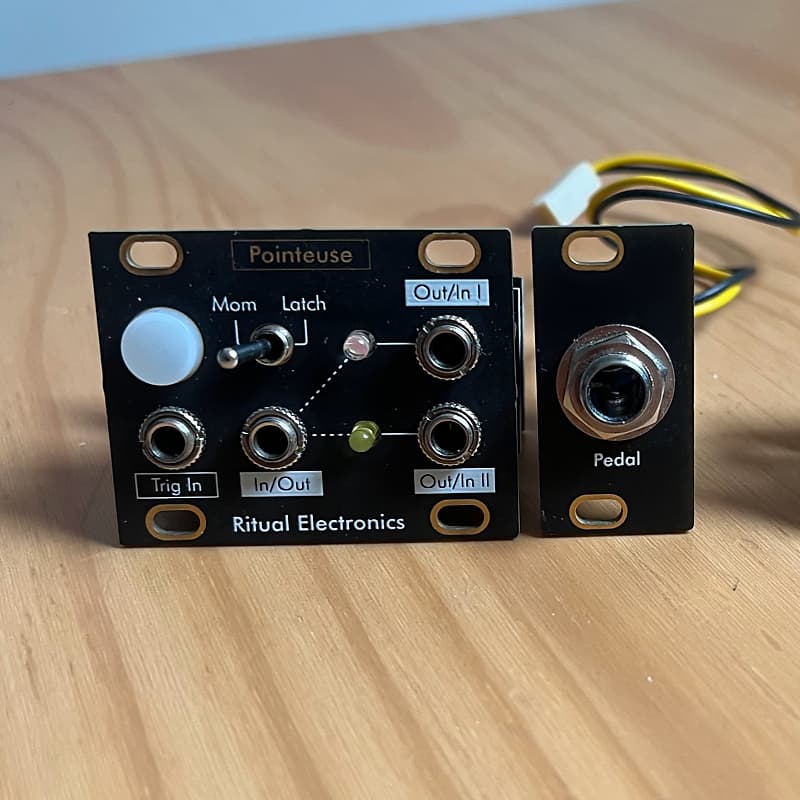 Ritual Electronics Pointeuse (Intellijel 1u) | Reverb