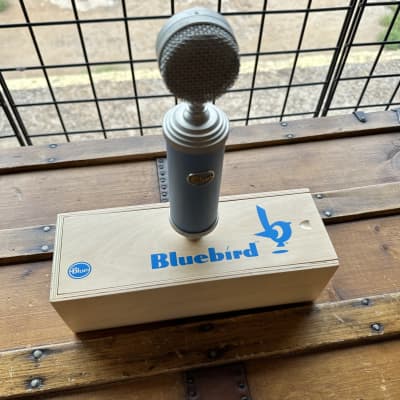 Large condenser Microphone box | Reverb