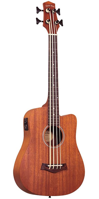 Gold Tone M-BassFL 23-Inch Scale Fretless Acoustic-Electric | Reverb