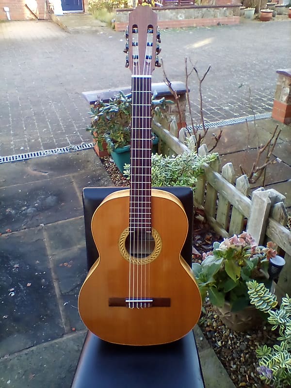 Juan Salvador 7C Cedar Walnut 2008 - Nitro | Reverb