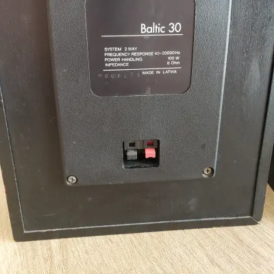 Rare Baltek Audio, Baltic 30, Black Latvian Birch, 1990's, | Reverb
