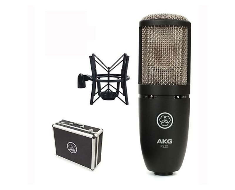 AKG P220 Large Diaphragm Studio Condenser Recording Mic | Reverb