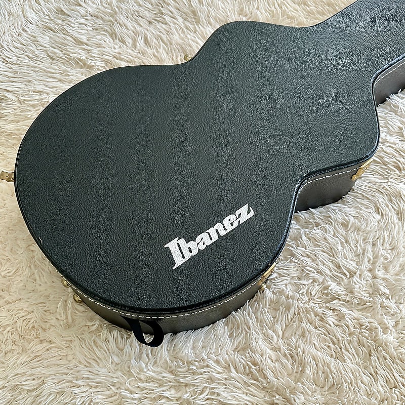 Ibanez/TKL 335 Style Electric Guitar Case | Reverb