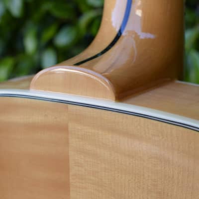 The Loar LH-400 Round Hole Archtop Guitar with Floating | Reverb