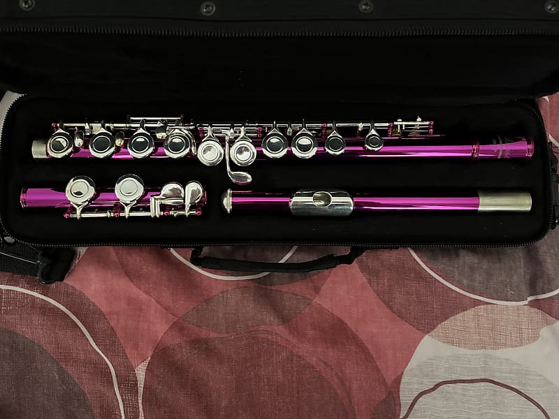 Elkhart Flute Hot Pink | Reverb
