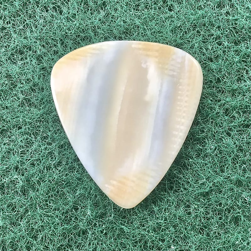 Seashell guitar pick-1.4mm, classic size & shape… by | Reverb