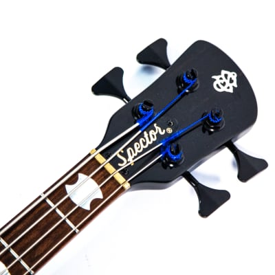 Stewart Spector RXT Prototype #1 Bass Owned by Rex Brown of | Reverb