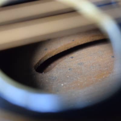 The Dayton Style B mandolin 1910s - black | Reverb Deutschland