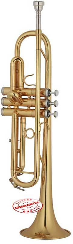 Hawk Lacquer Brass Bb Trumpet with Case and Mouthpiece | Reverb
