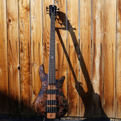 Spector NS Ethos 5 | Reverb