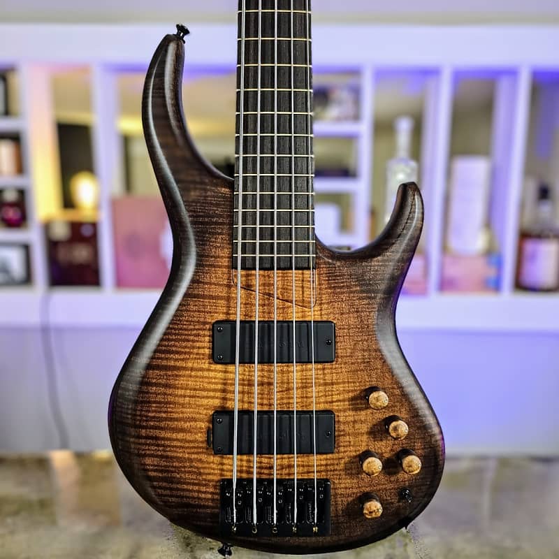 MTD 535-24: Flamed Maple Top, Tulipwood Body, Wenge | Reverb