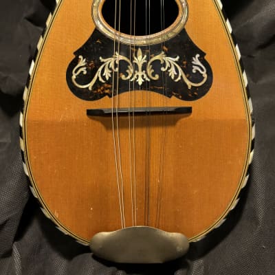 American Conservatory, Lyon & Healy Bowl Back Mandolin - | Reverb UK