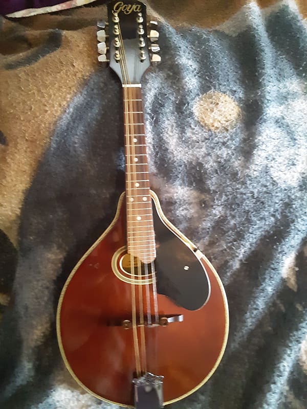 Goya gm 23 mandolin | Reverb