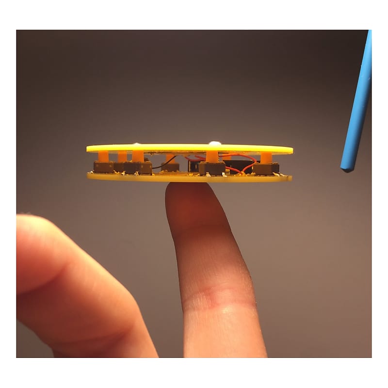 Landscape Soundwich Audio Trigger and Processing Device | Reverb