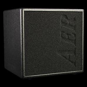 AER Alpha 40W Acoustic Guitar Amplifier | Reverb