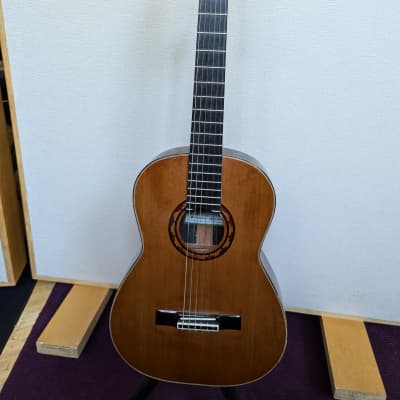 Yulong Guo Hauser model / Cedar Top | Reverb