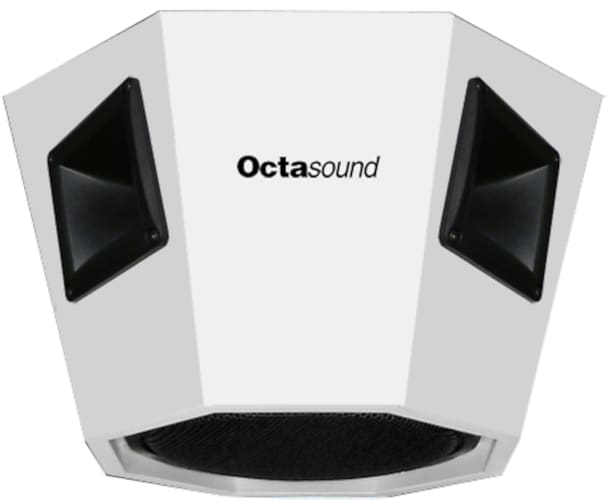 Octasound SP810A Central Speaker System: 10 Woofer, 4x 6x6 | Reverb