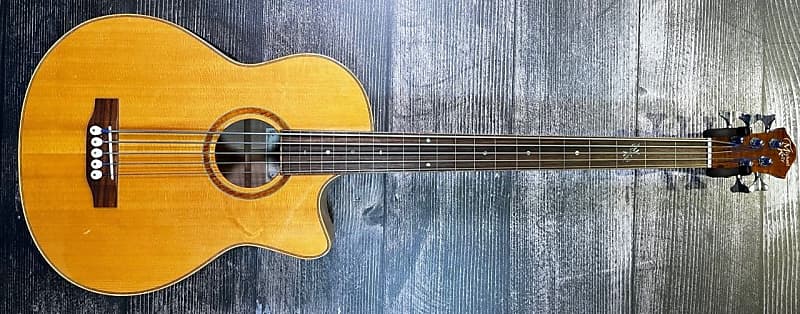 Michael Kelly MFKCFL5 5 String Fretless Acoustic Electric | Reverb