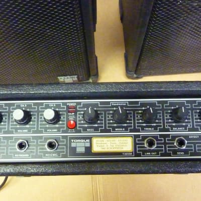 Ensemble ampli baffles TORQUE 225SK | Reverb