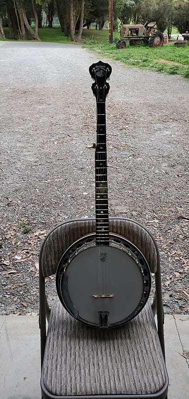 Deering Deluxe 1980's | Reverb