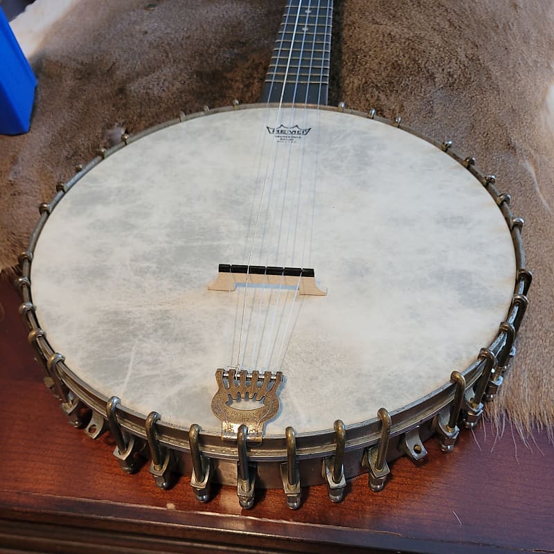 Lyon & Healy 5 String Banjo | Reverb