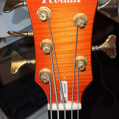 Pedulla Pentabuzz 5 String Fretless Bass | Reverb