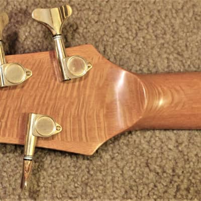 Harry Fleishman 'Dragonfly'. 1995 One of a Kind Acoustic | Reverb