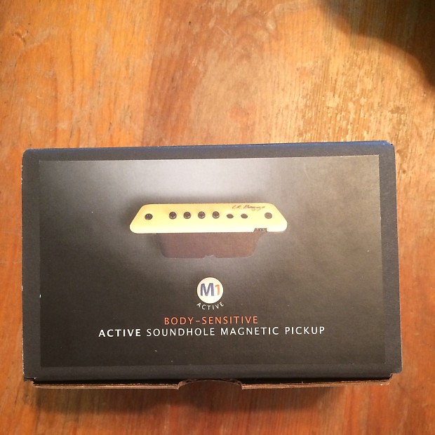 LR Baggs M1 Active Soundhole Mag Pickup | Reverb