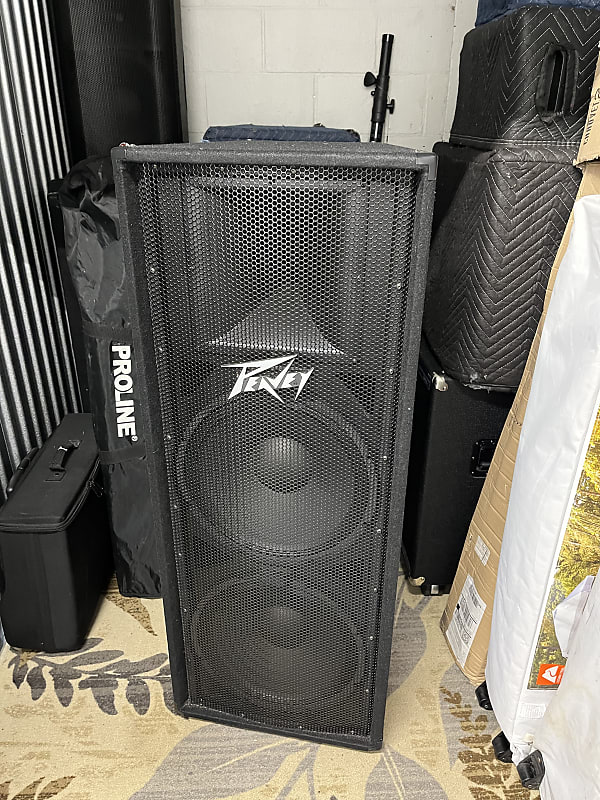 Peavey PV 215 Dual 15" 2-way Speaker Cabinet (Pair) - Black | Reverb