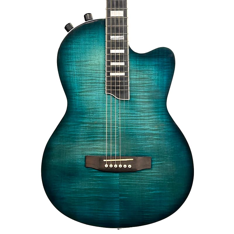 Backwoods Custom SST Acoustic/Electric (used) | Reverb