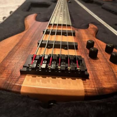 Carvin 6 String Bass | Reverb