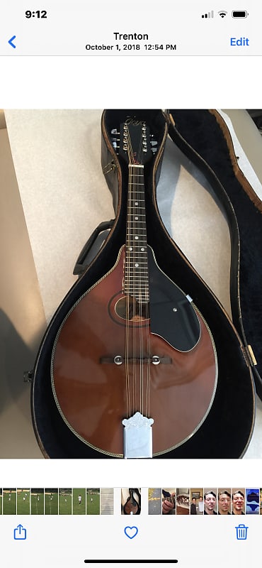 Goya Mandolin 1970 | Reverb