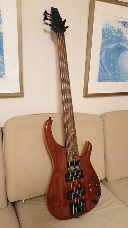 Modulus Quantum 5 String Fretless Bass 1997 | Reverb