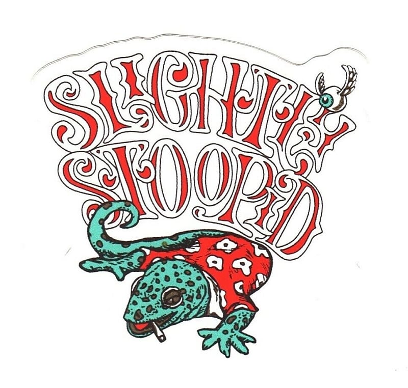 SLIGHTLY STOOPID Party Lizard Ltd Ed RARE Band Sticker! | Reverb