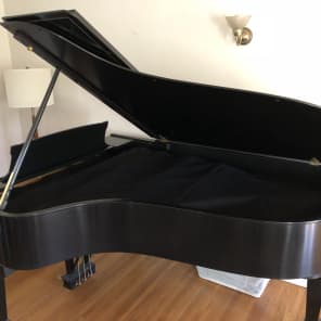 Dawson Custom string cover for Steinway model B grand piano | Reverb
