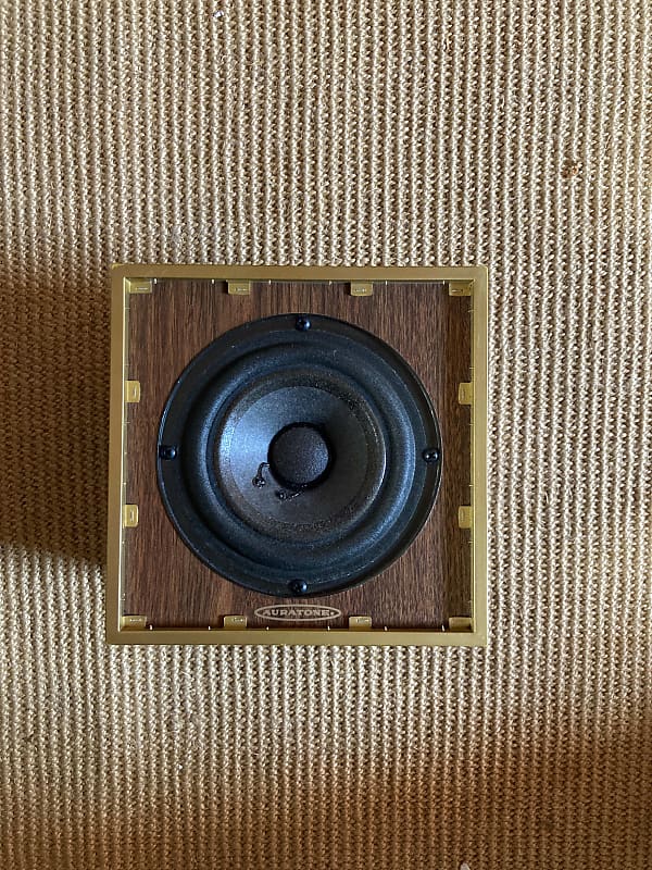 Auratone 5C Super Sound Cube | Reverb