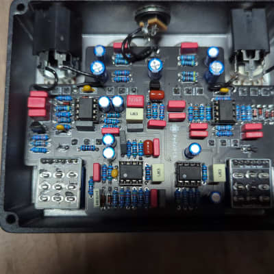 Raygun Designs Pedalpcb Pro-10 Dual Overdrive 2023 | Reverb