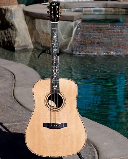 Bedell TB-28-GS 2010 (Rare 1 of 24) | Reverb